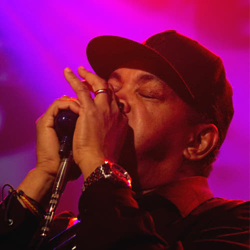 7 Tricks to Learn to Play the Harmonica Fast – Be Harpin' Like a Pro in ...