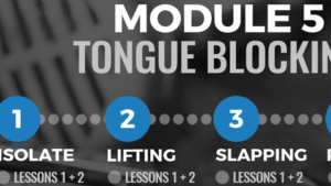 Beginner Harmonica Lessons - Learn the Easy Way (Beginner to Boss)