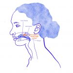 How to Bend Harmonica – For Beginners