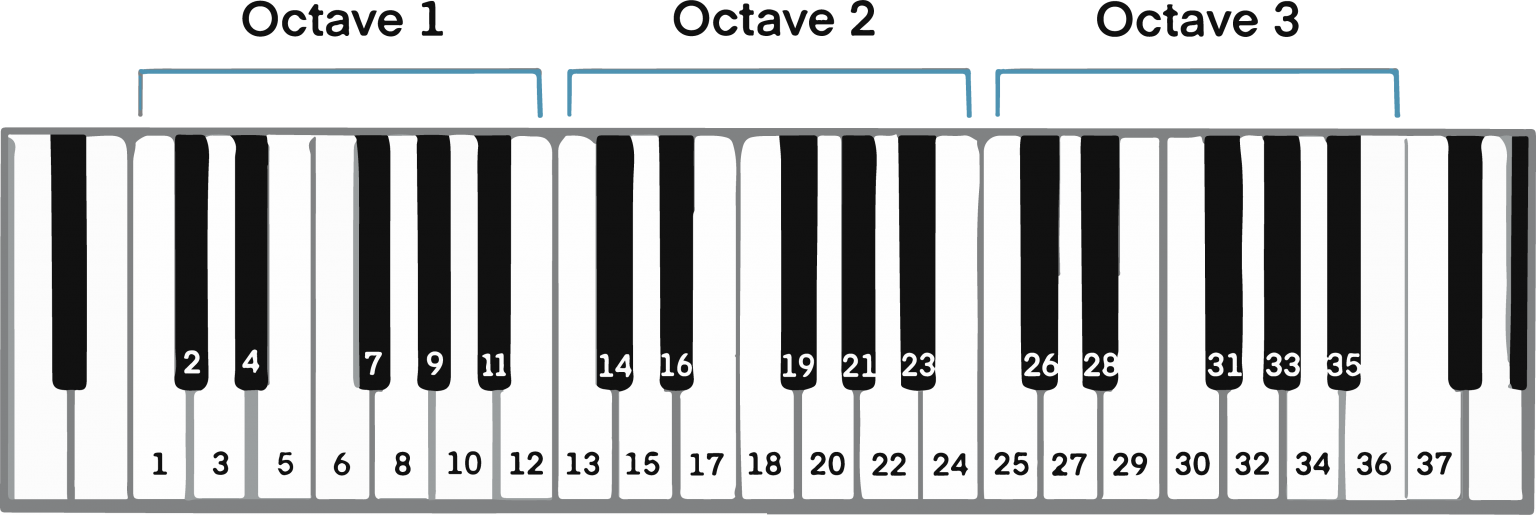 Exploring the 3 Types of Harmonica – A Beginner’s Guide