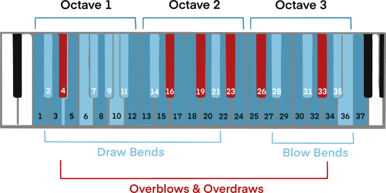 Exploring the 3 Types of Harmonica – A Beginner’s Guide